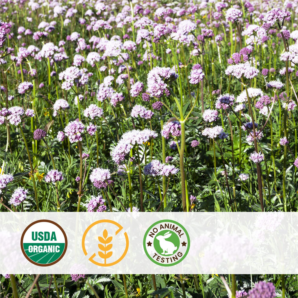 natural sleep aid valerian