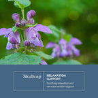 natural sleep support with Eclectic Herb