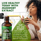 Natural sleep support with mugwort
