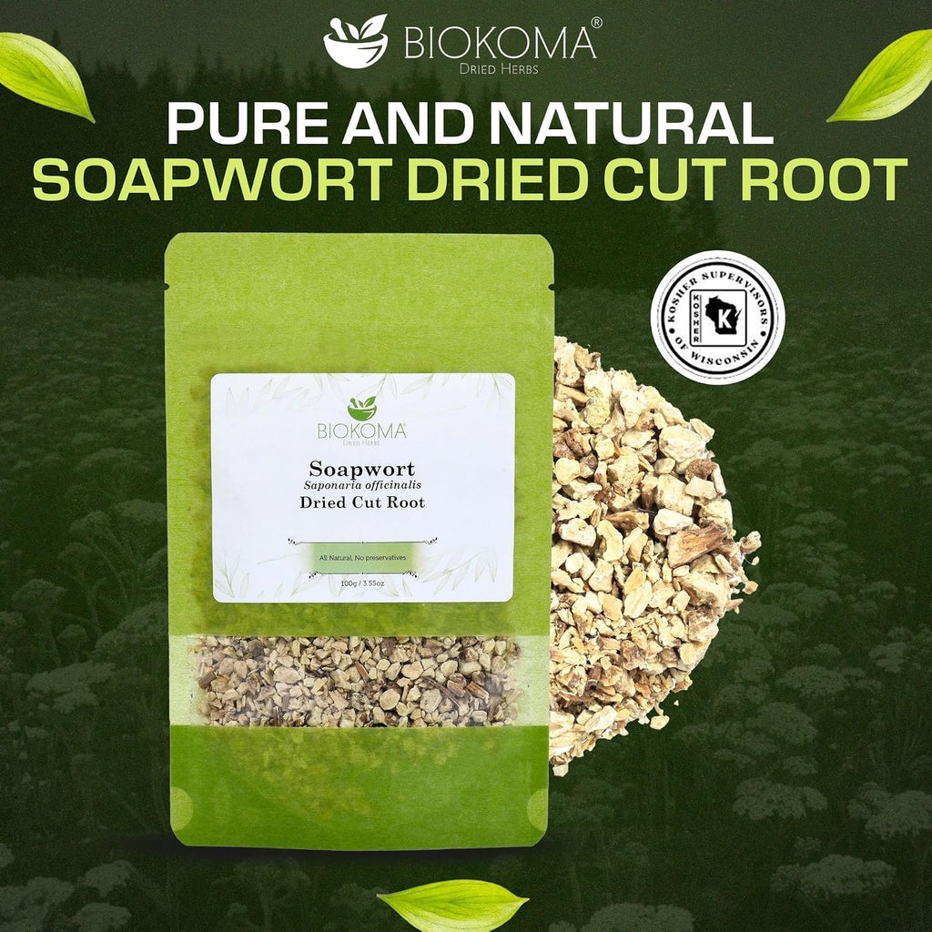 natural soapwort root for herbal infusions