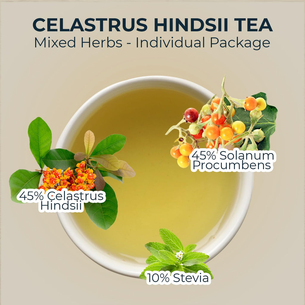 natural Solanum infused tea