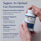 natural solution for digestive comfort