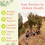 Natural Source antioxidant supplement