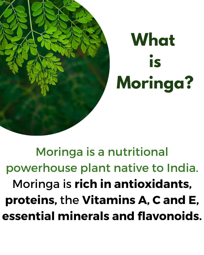 Natural source of antioxidants Moringa