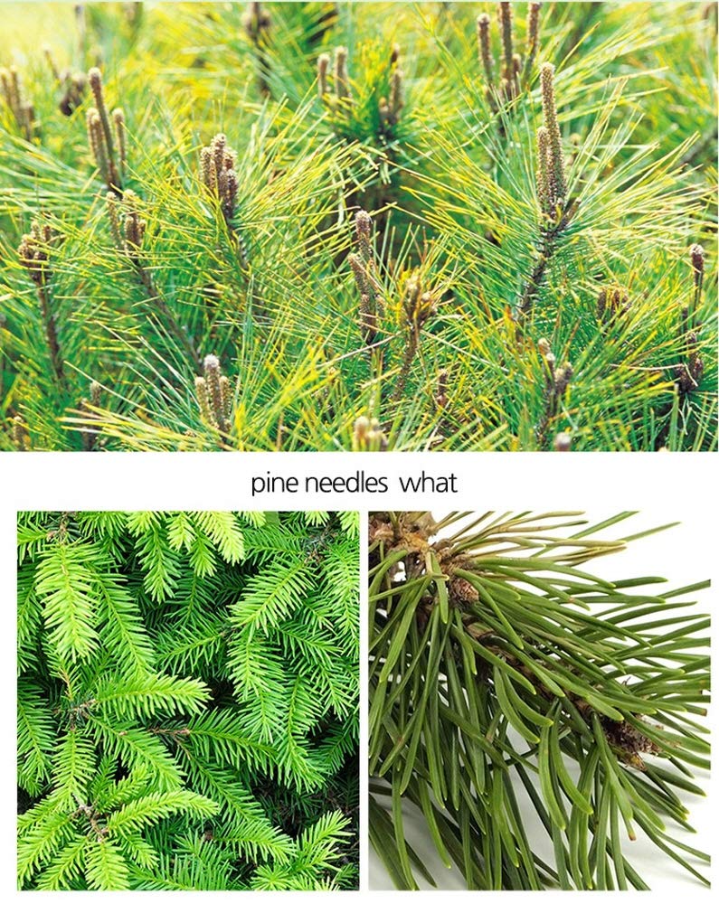 natural source of bioflavonoids