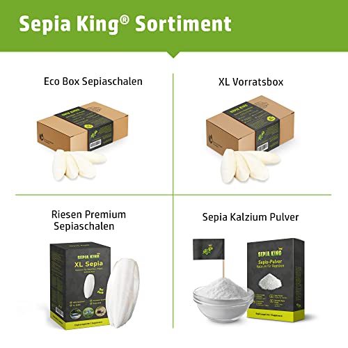 natural source of calcium carbonate