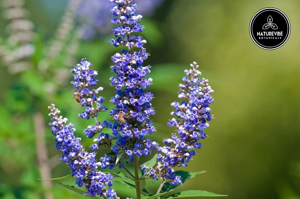 Natural source of chaste tree nutrients
