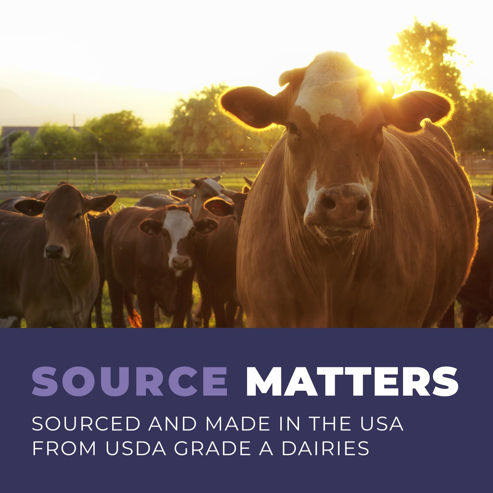 Natural source of IgG colostrum
