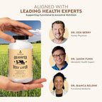 natural source of iron capsules