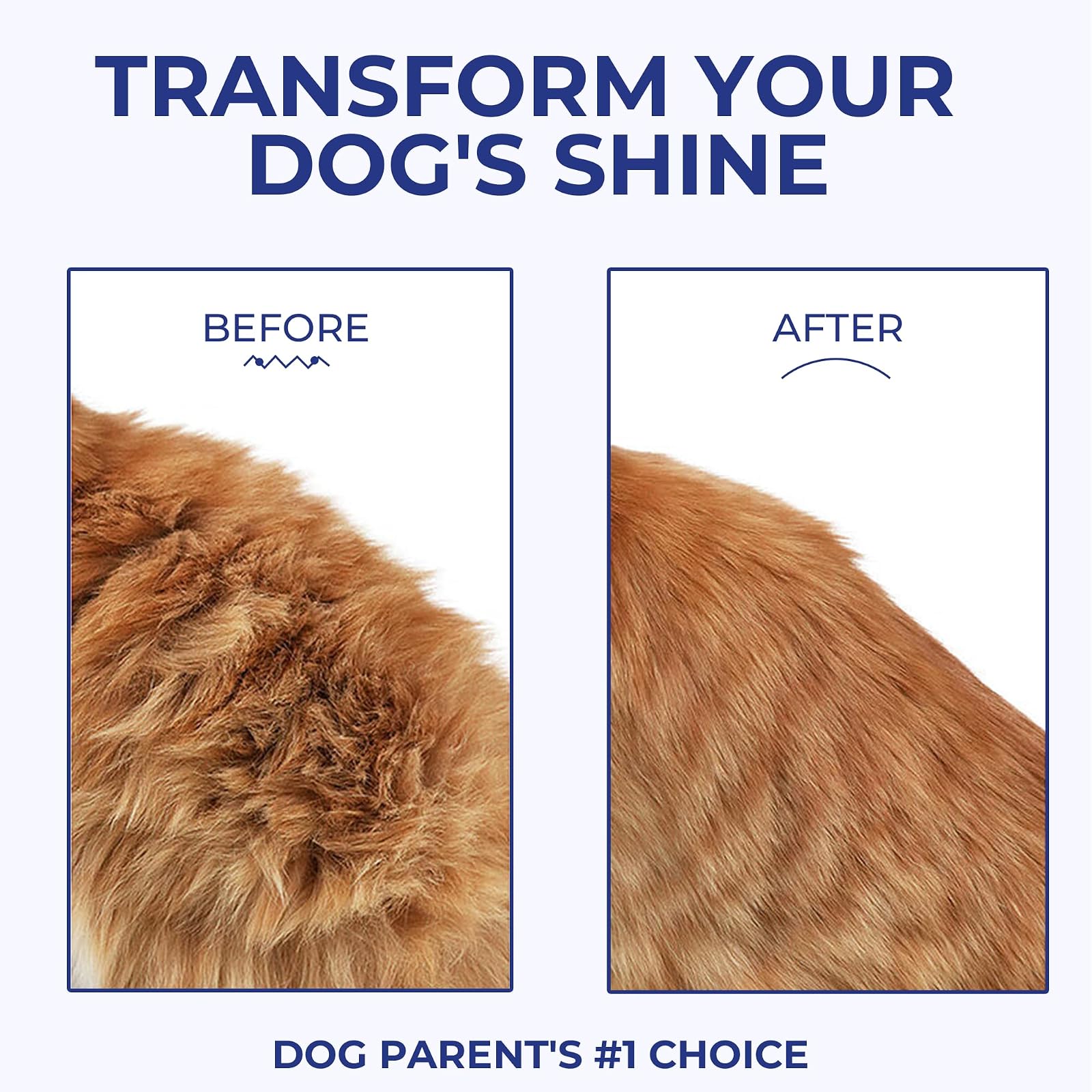 Natural source of omega fatty acids