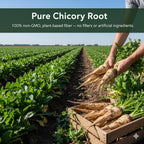 natural source of prebiotics fiber