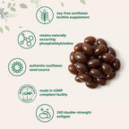natural source of sunflower lecithin