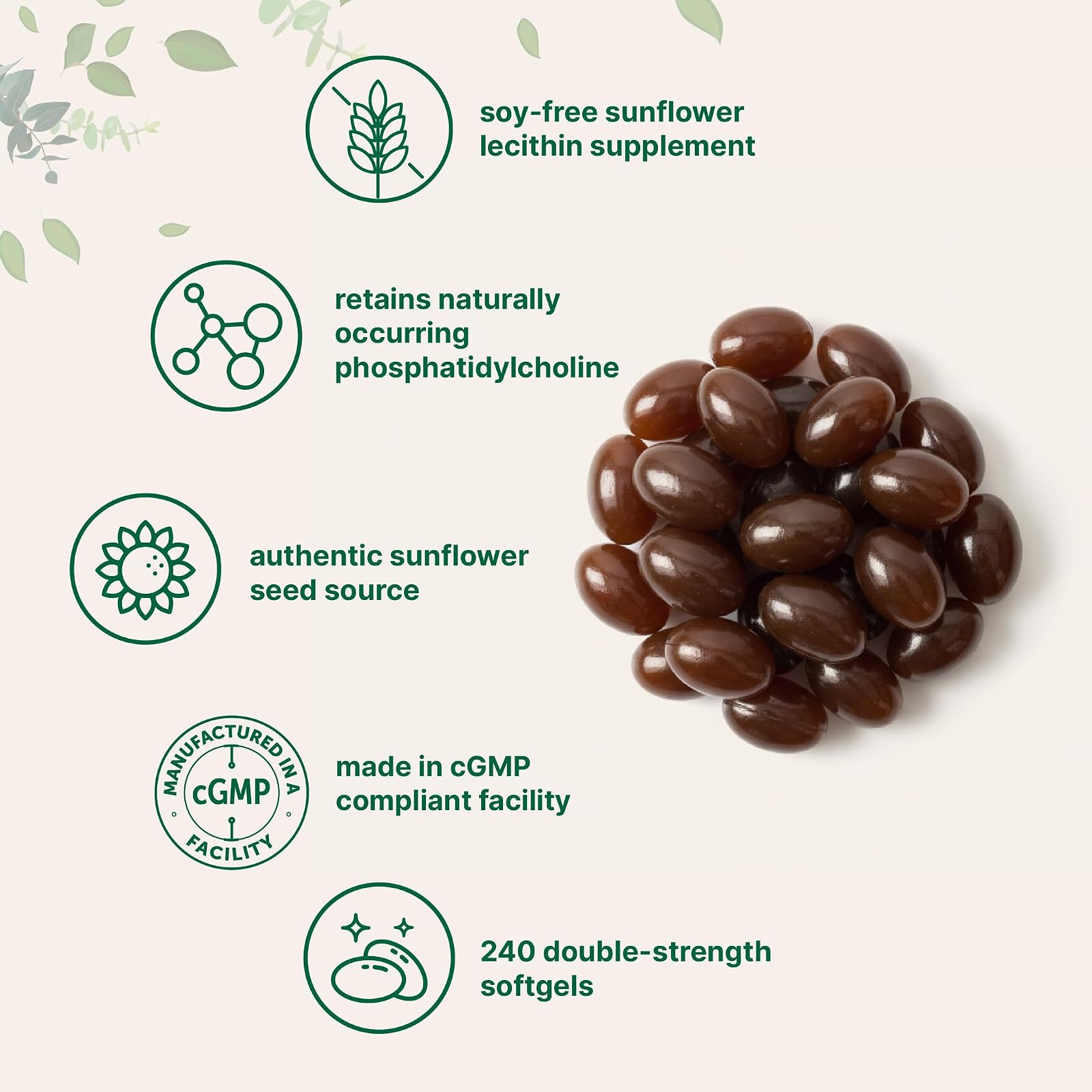 natural source of sunflower lecithin