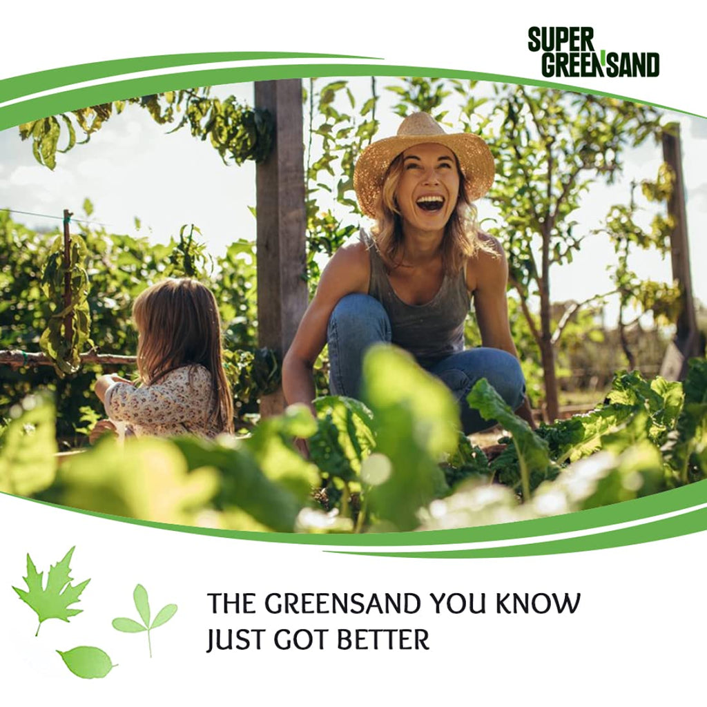 natural source of trace minerals