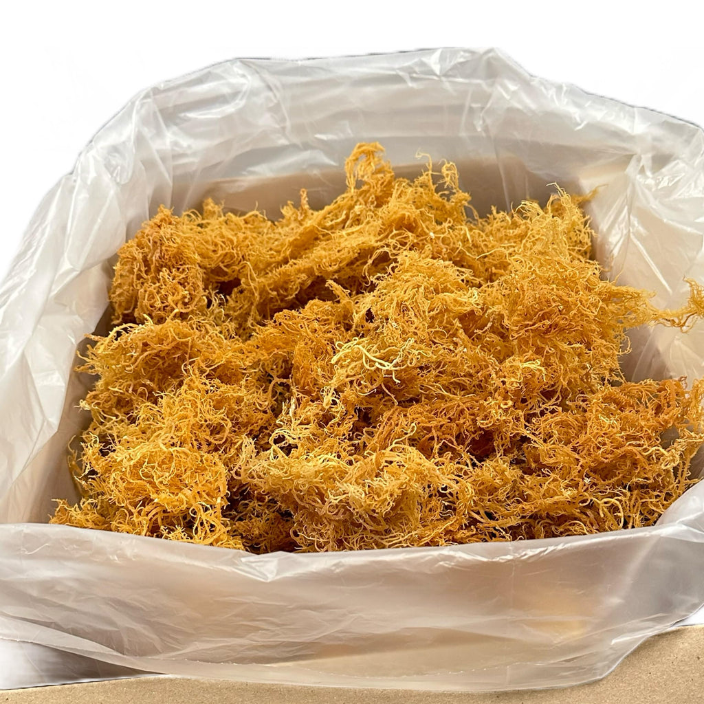 natural source of trace minerals