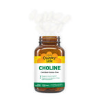 Natural source of vitamin B complex