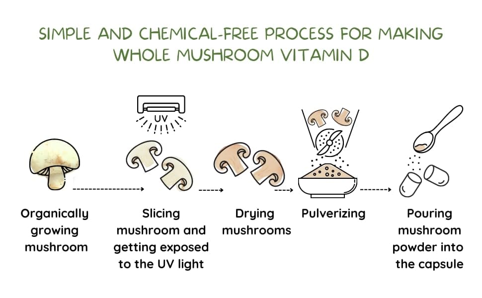 natural source of vitamin D2