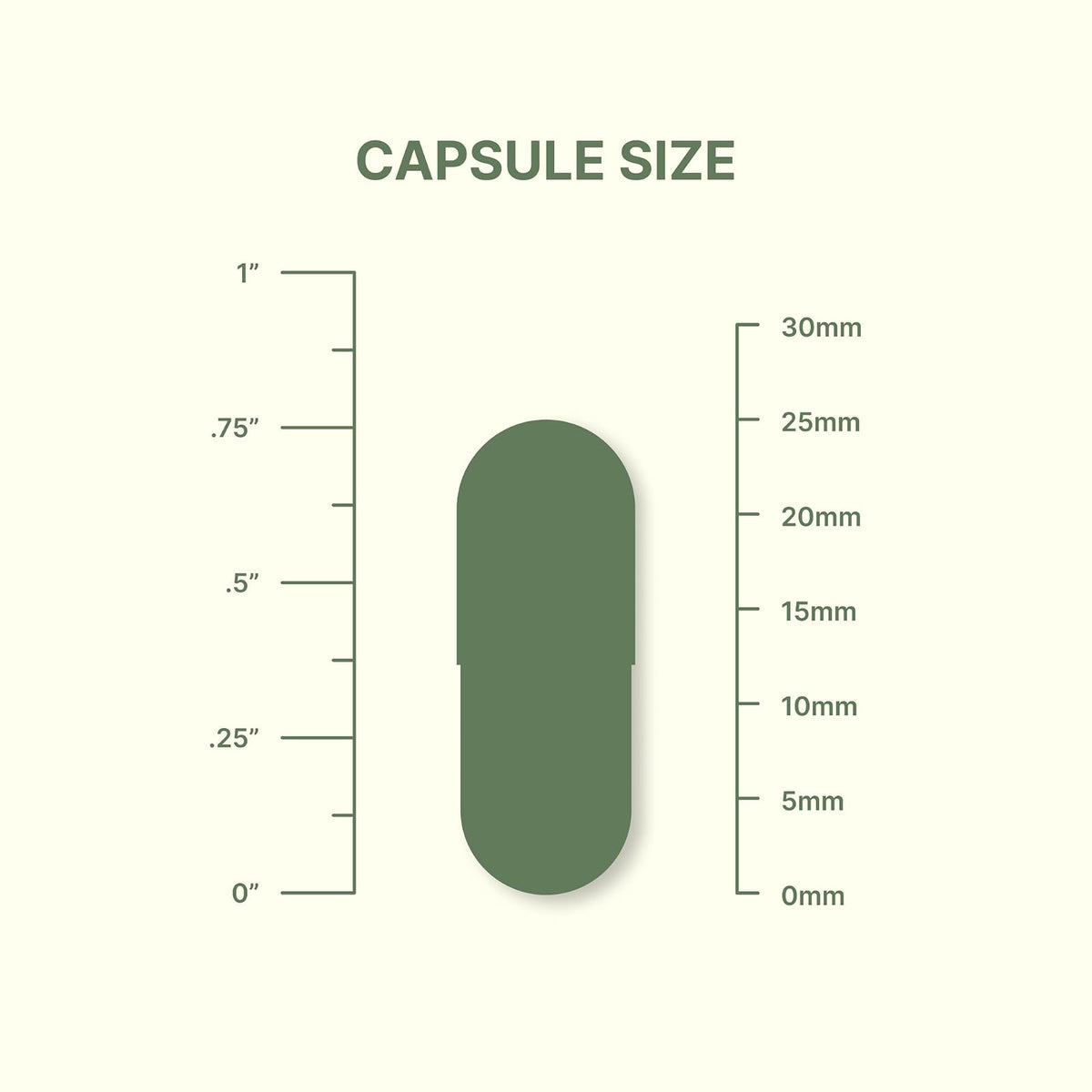 Natural source of Vitamin K2 D3