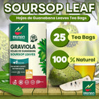 natural soursop leaf tea for wellness