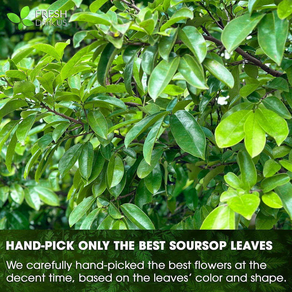 natural soursop leaves for digestive support