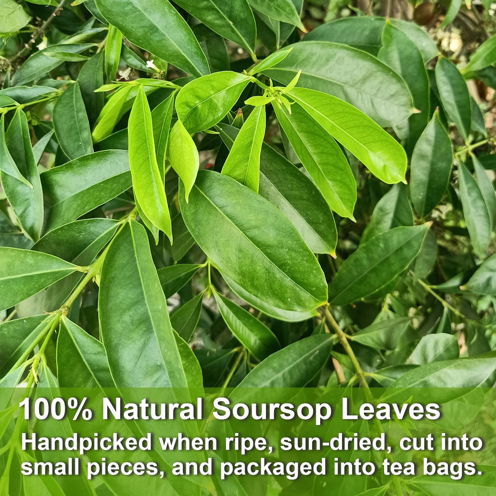 natural soursop tea for relaxation