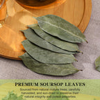 natural soursop tea for wellness