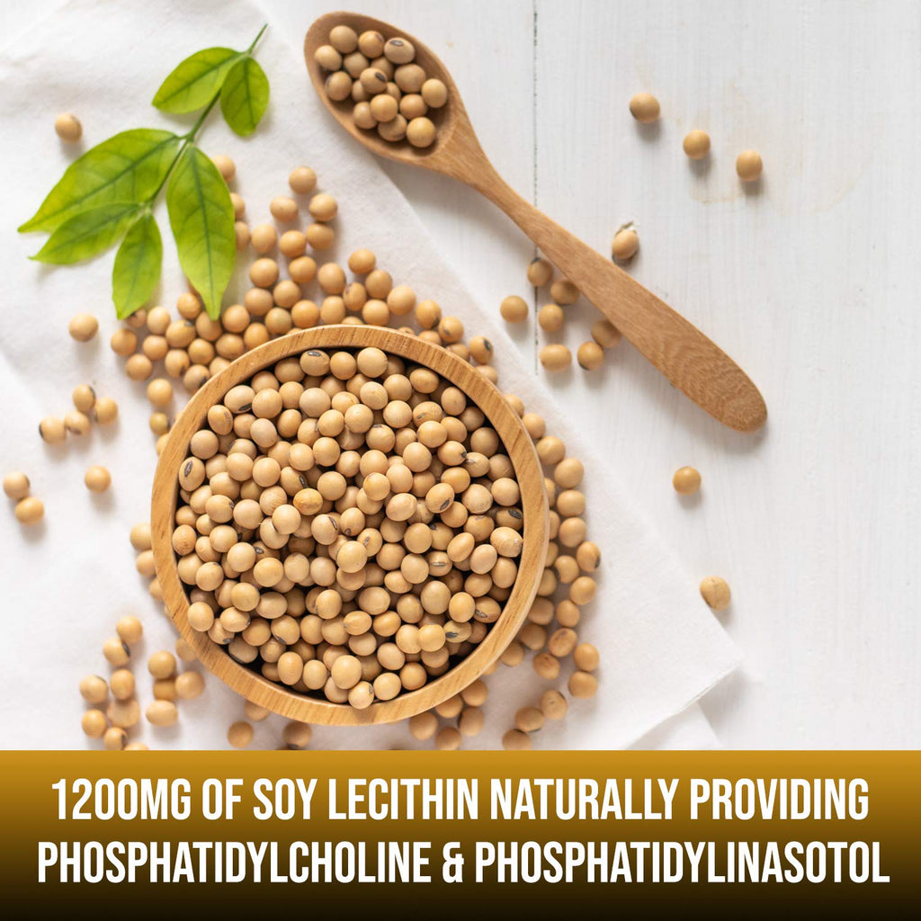 natural soy lecithin supplement
