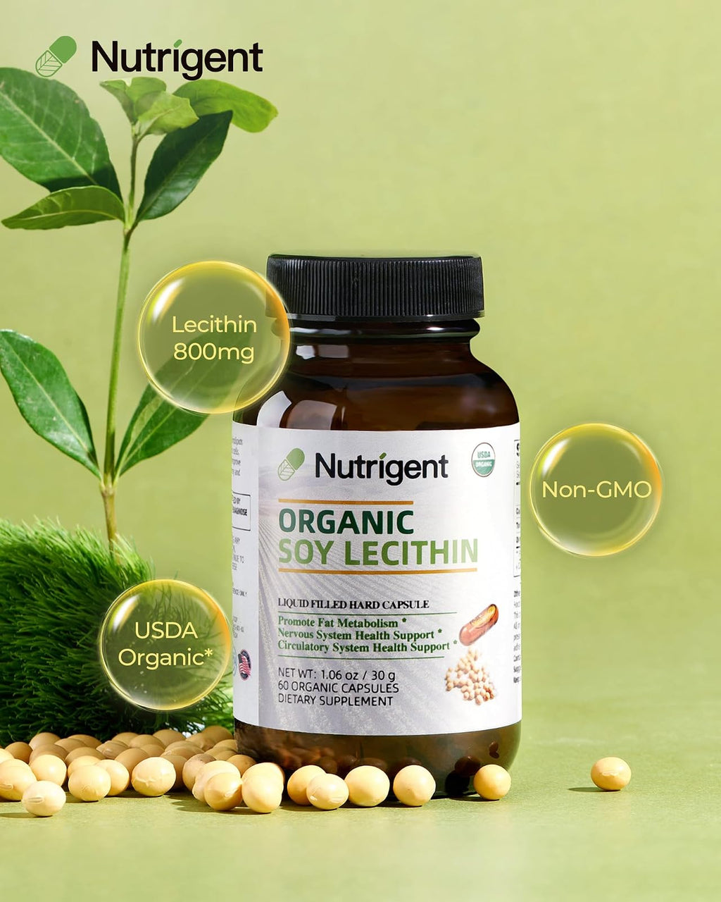 natural soy lecithin supplement