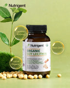 natural soy lecithin supplement