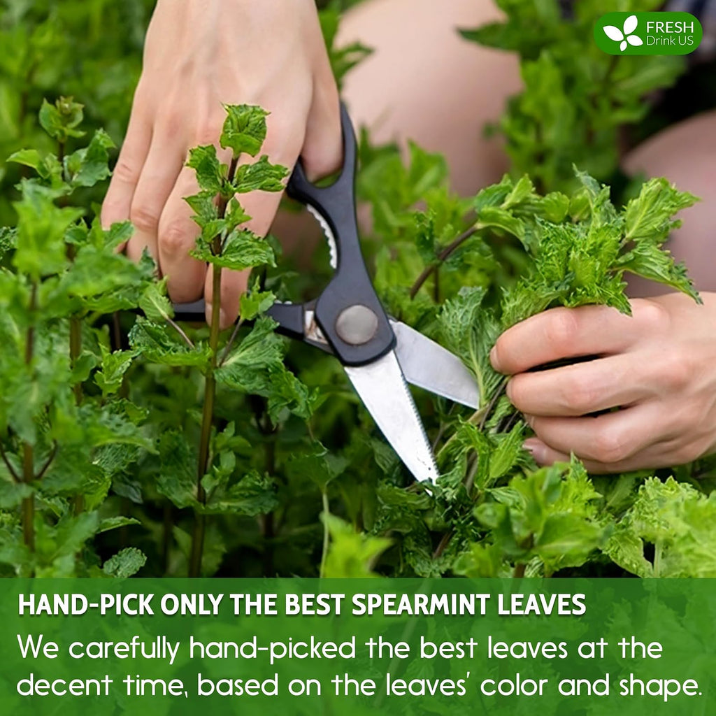 natural spearmint tea for detox