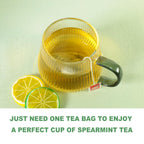 natural spearmint tea for digestion