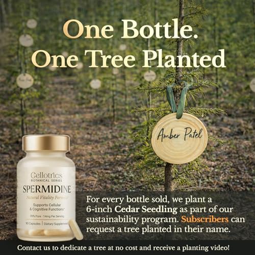 Natural spermidine supplement for energy