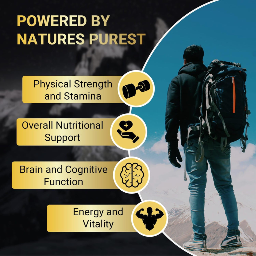 natural stamina booster shilajit capsules