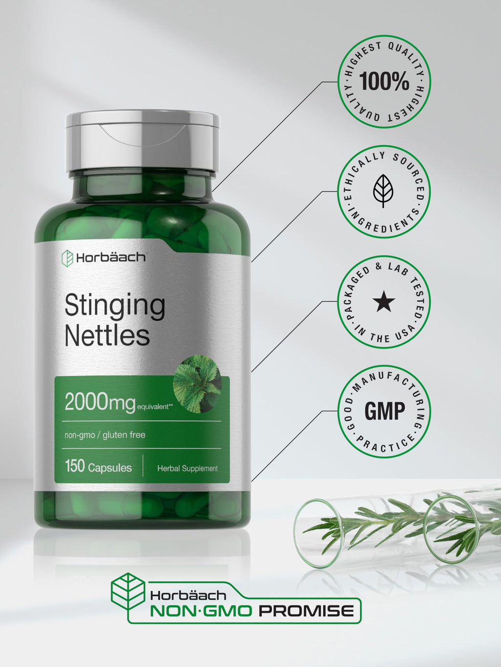 Natural stinging nettle for overall wellness