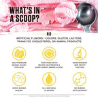 natural strawberry flavour plant protein