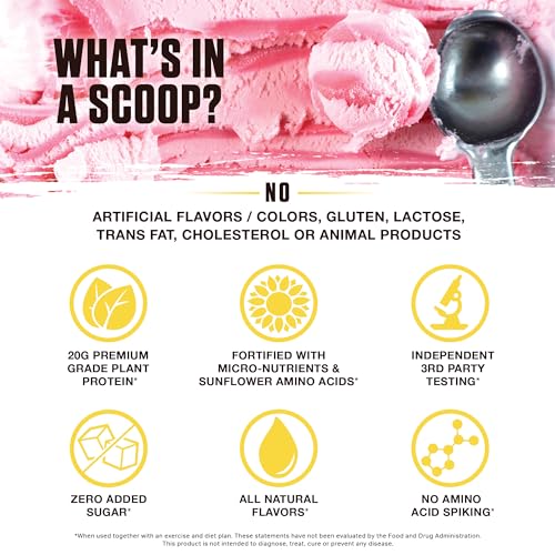 natural strawberry flavour plant protein