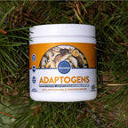 natural stress relief ashwagandha