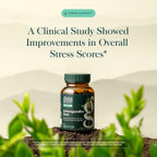 natural stress relief ashwagandha