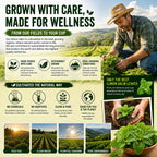 natural stress relief herbal tea