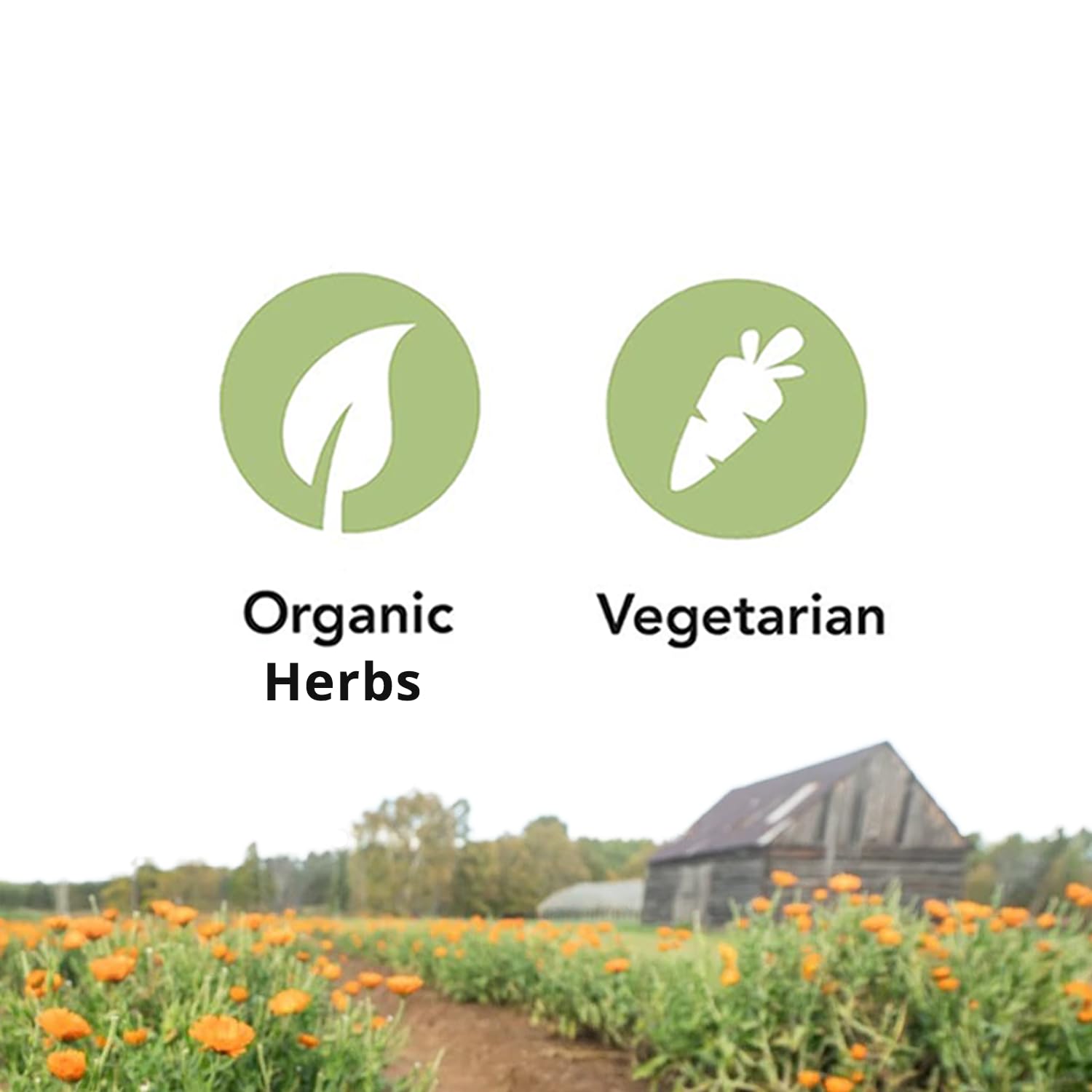 natural stress relief with ashwagandha