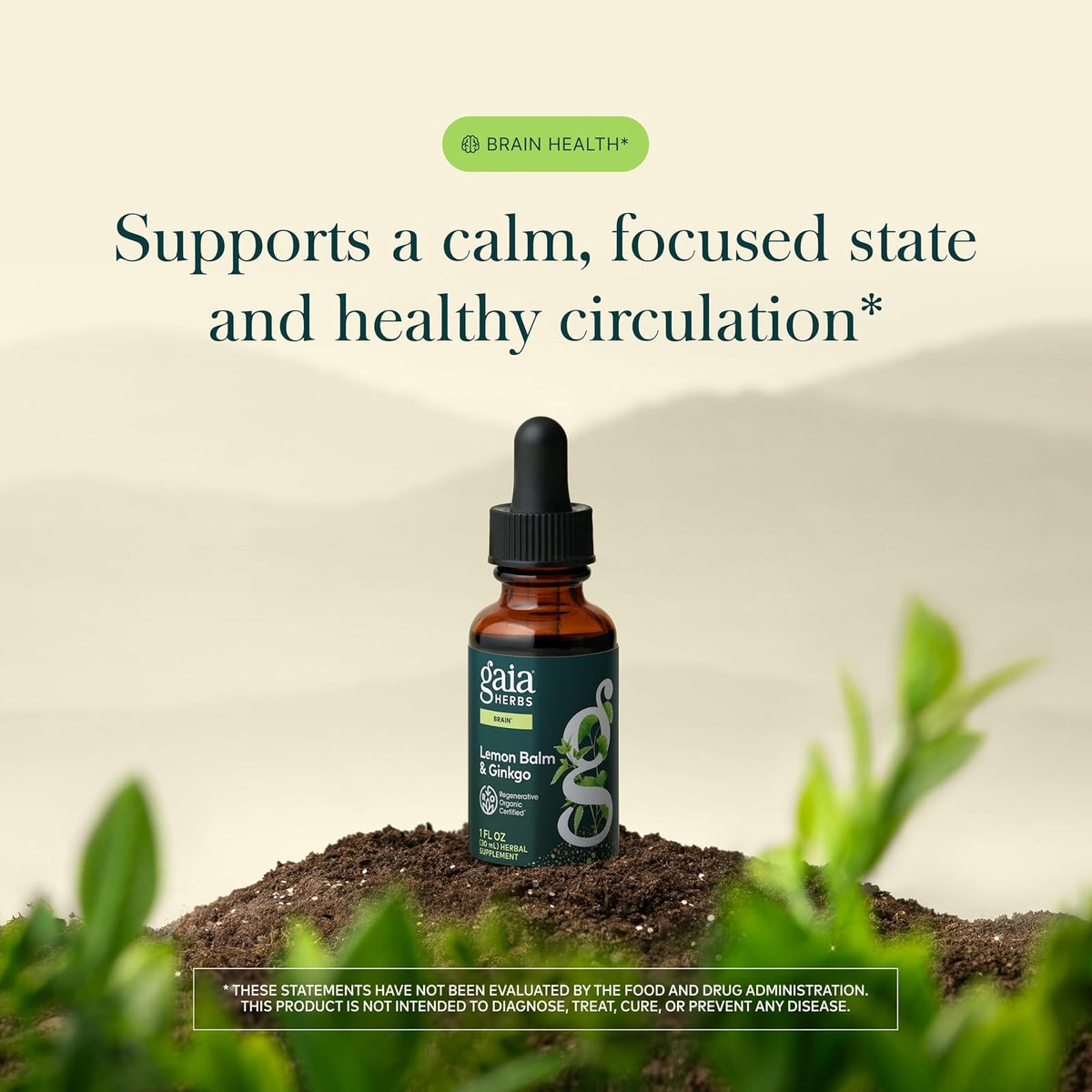 Natural stress relief with Ginkgo