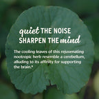 Natural stress relief with Gotu Kola