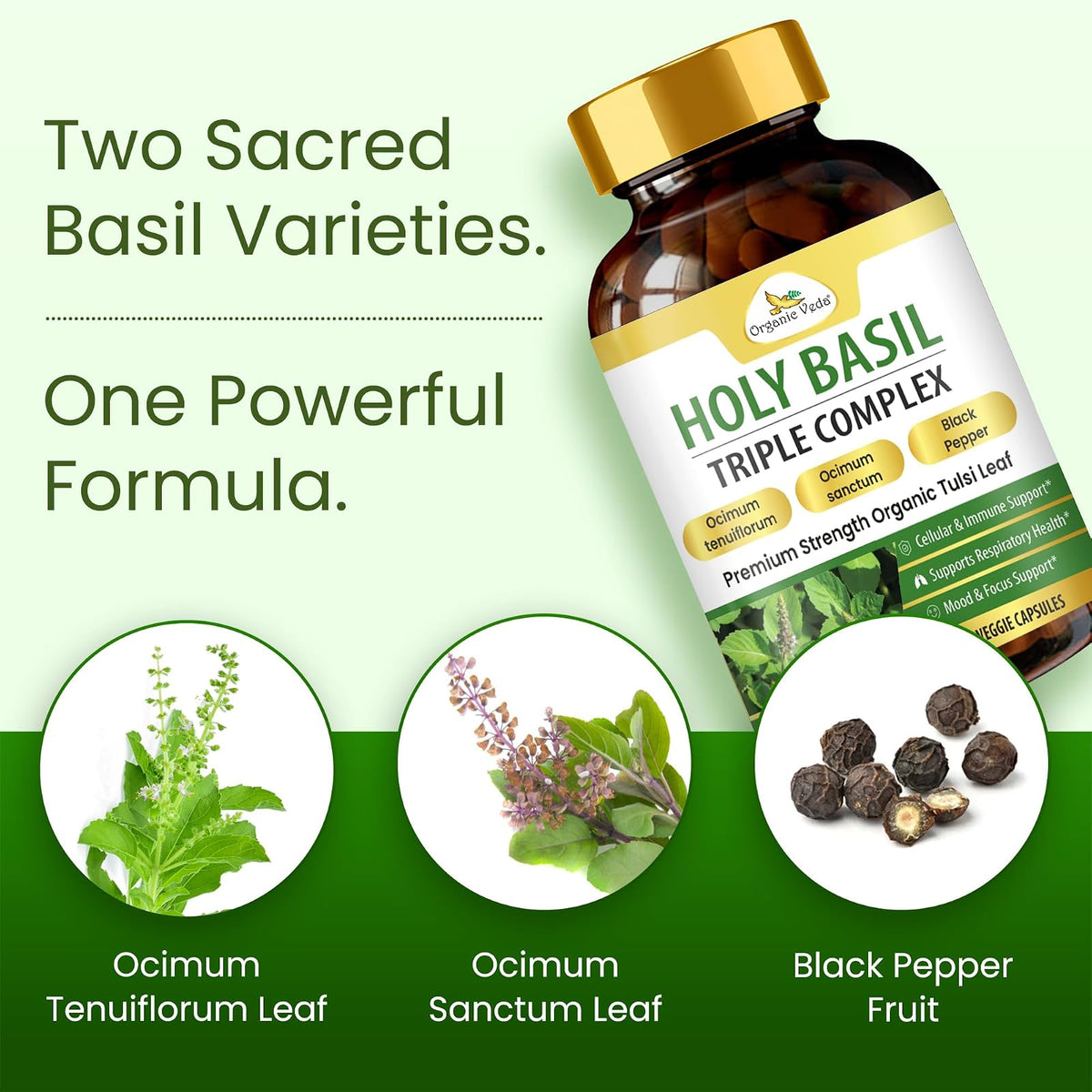Natural stress relief with Holy Basil