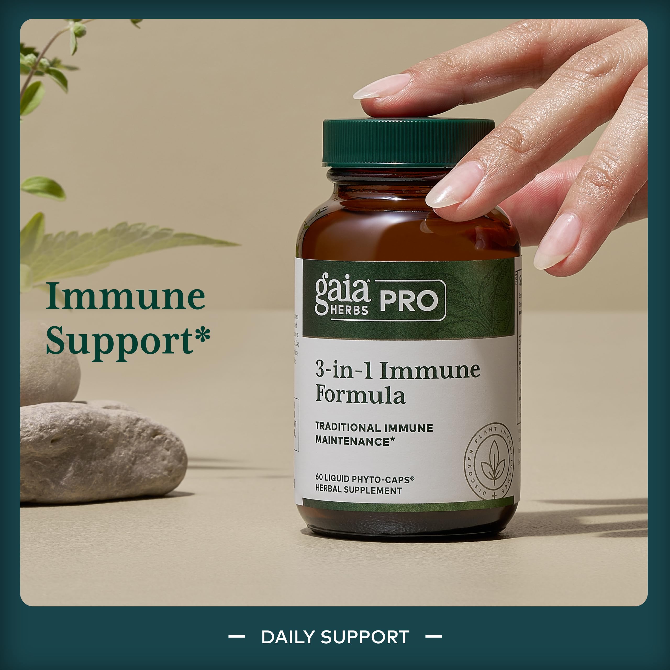 natural stress support herbal supplement