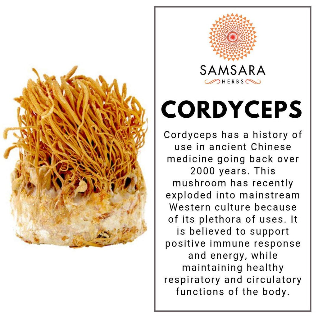 Natural superfood mushroom supplement