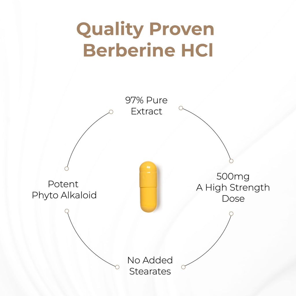 natural supplement for balanced energy levels
