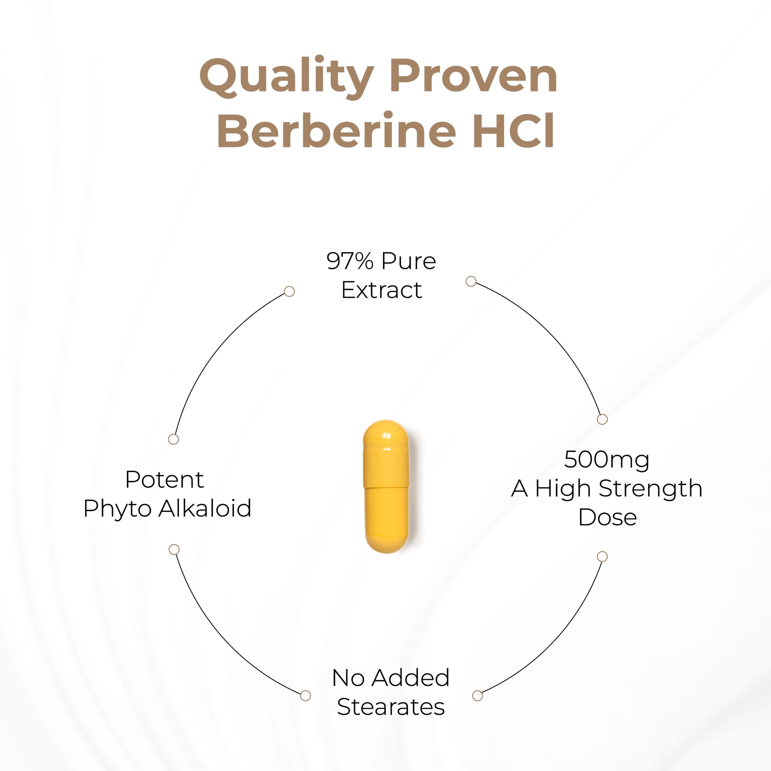 natural supplement for balanced energy levels