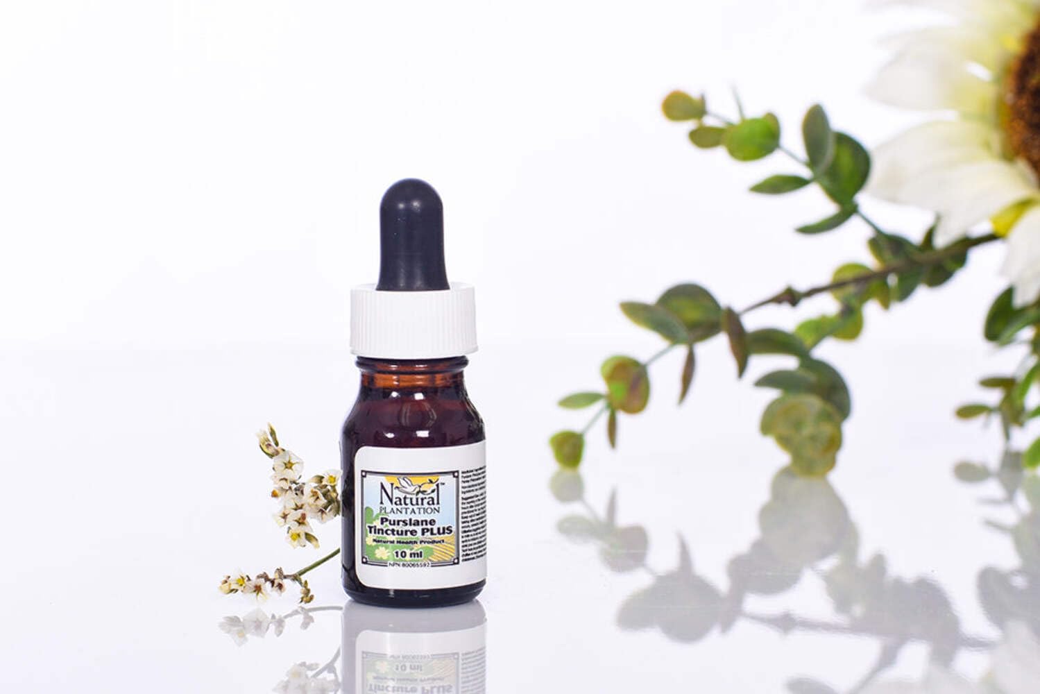 Natural supplement for balanced nutrition