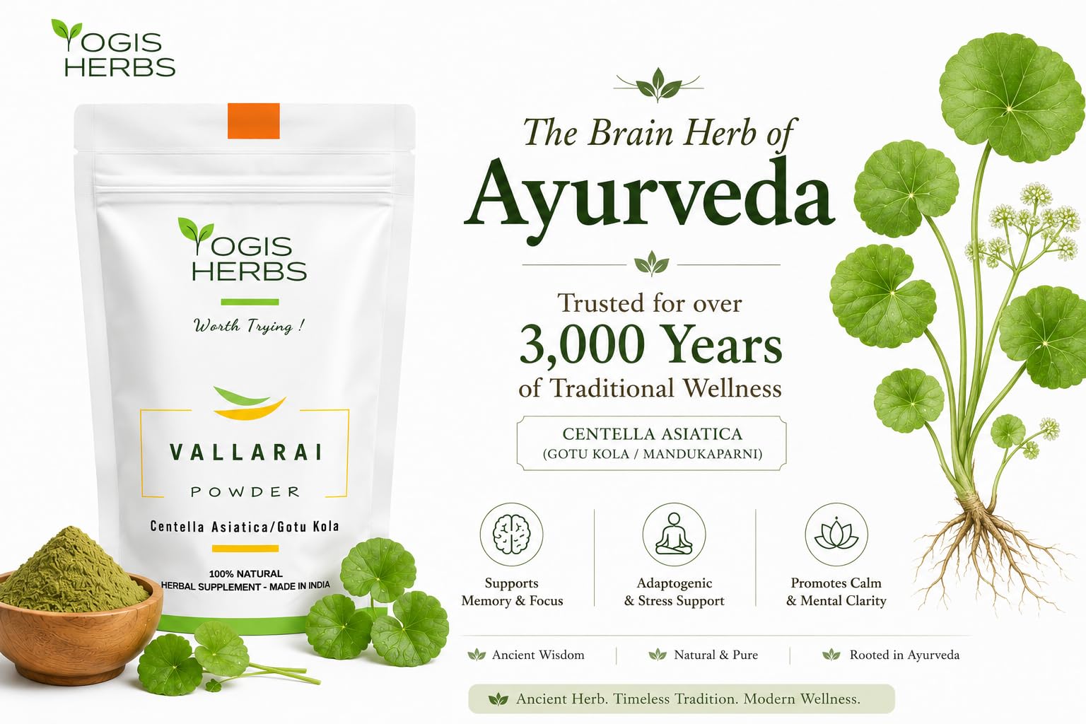 natural supplement for cognitive enhancement