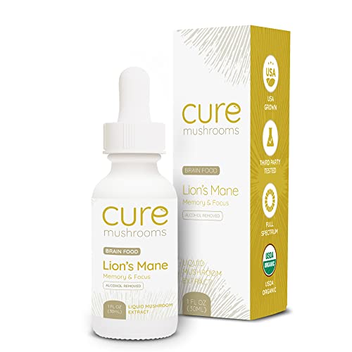 natural supplement for cognitive support